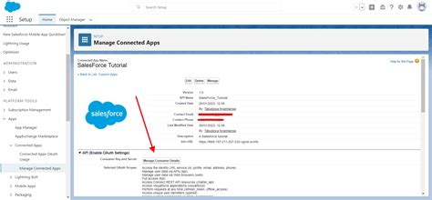 How To Set Up An Admin API User In Salesforce And Create Contacts