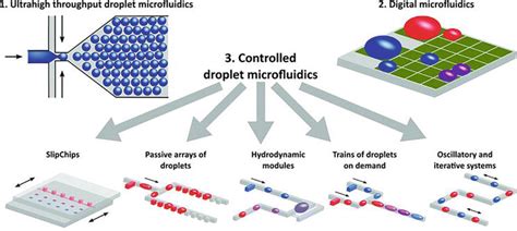 Perspective Chapter Microfluidic Technologies For On Site Detection And Quantification Of