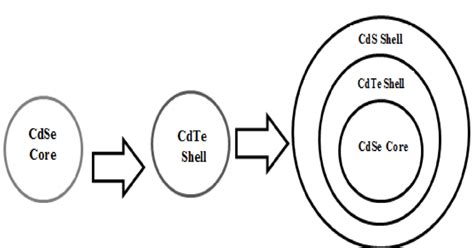 Synthesis Of Cdse Cdte Cds Core Shell Shell System Download Scientific Diagram