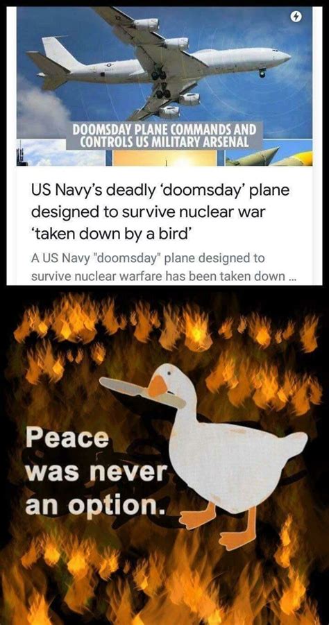 This Internet Group Shares Images Of Birds Being Jerks Here Are The Funniest Ones Bored Panda