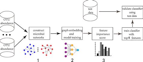 Frontiers Graph Embedding Deep Learning Guides Microbial Biomarkers