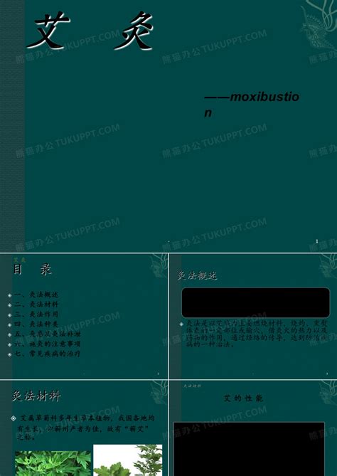 中医艾灸课件PPT模板下载 编号qrknapaj 熊猫办公