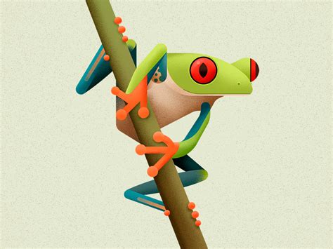 Tree Frog Vector At Vectorified Com Collection Of Tree Frog Vector Free For Personal Use