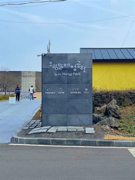 제주도 유채꽃 시기와 명소 7곳 총정리 네이버 블로그