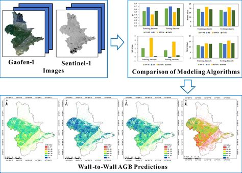 Remote Sensing Free Full Text Estimating Forest Aboveground Biomass Using Gaofen 1 Images