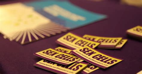 Sex Cells Why Sex Inclusion In Research Is Long Overdue Northwestern Now