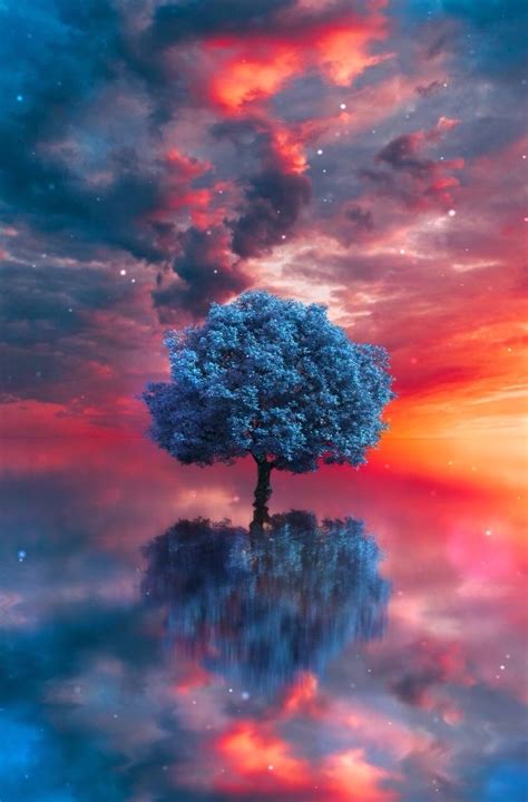 Tree Of Life Art At Sunset Tree Of Life Art At Sunset