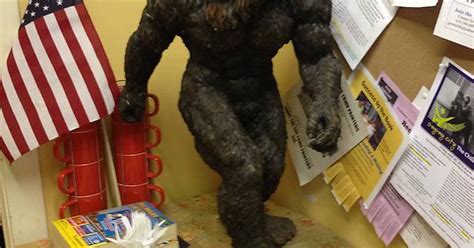 I Found Sasquatch Imgur