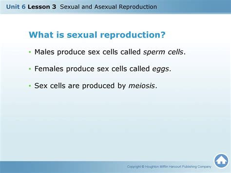 One Becomes Two What Is Asexual Reproduction Ppt Download