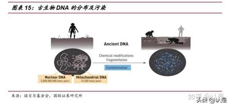 医药生物行业专题诺贝尔奖持续惠及人类福祉 知乎