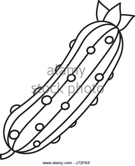 Cucumber Slice Drawing At GetDrawings Free Download