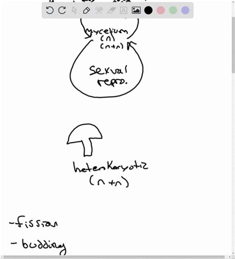 solved what is asexual propagation