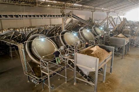 โรงงานผลิตปุ๋ย บริษัท ซิตี้ พลานท์ จำกัด City Plant Co Ltd