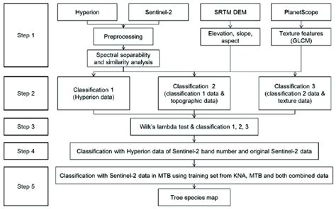 Flowchart Of The Tree Species Classification Procedure Abbreviations Download Scientific