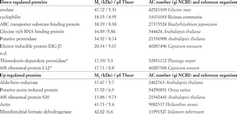 Differential Expressed Proteins Proteins Have Been Identified By