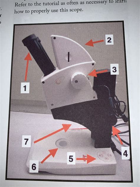 Bio 211 Lab Practical Review Parts Of A Dissecting Microscope Diagram Quizlet