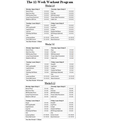 12 Week Workout Plan Bodybuilding Pdf Eoua Blog