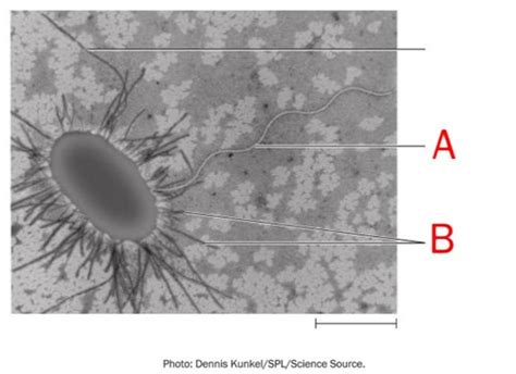 Unit 1 Ch 3 Flashcards Quizlet