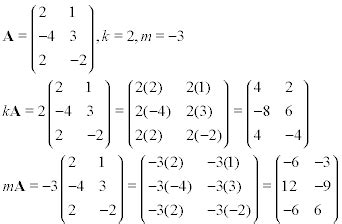 Matrices Tutorial