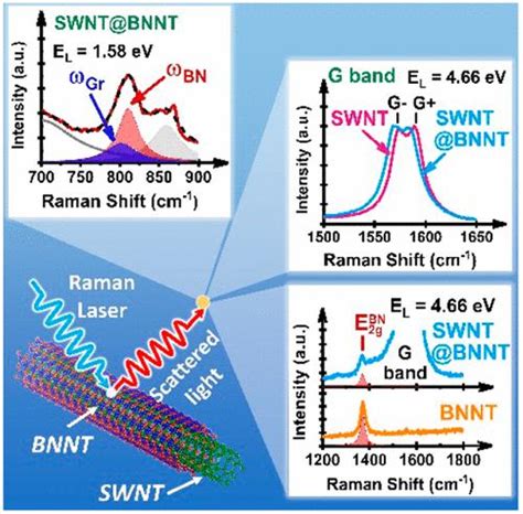 氮化硼纳米管内碳纳米管拉曼光谱中层间相互作用的声子the Journal Of Physical Chemistry Letters X Mol