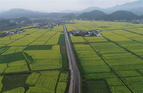 Intelligent Irrigation Management System Iotrouter