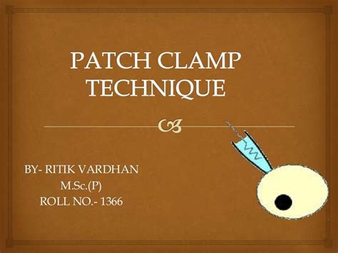 Patch Clamp Technique