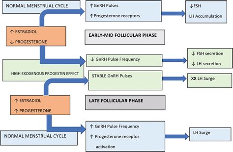 Progestin Primed Ovarian Stimulation Protocol Current Status In Assisted Reproductive