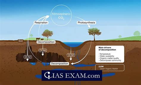 Process Of Decomposition Upsc