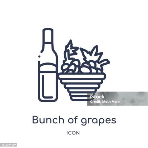 음료 개요 컬렉션에서 포도 아이콘의 선형 무리 흰색 배경에 고립 된 포도 벡터의 얇은 라인 무리 포도의 무리 유행 그림 0명에 대한 스톡 벡터 아트 및 기타 이미지 Istock