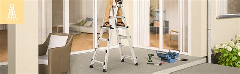 Hailo Scala Multifunzione In Alluminio M X Pioli Portata Fino A Kg Snodi Di