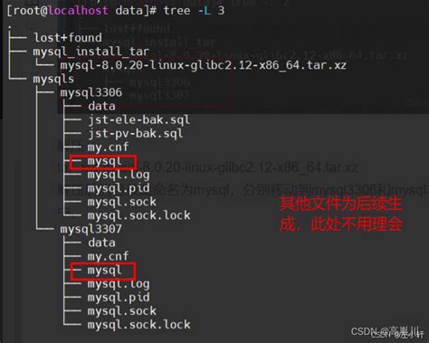 linux环境部署两台数据库mysql8 0 linux部署两个mysql csdn博客