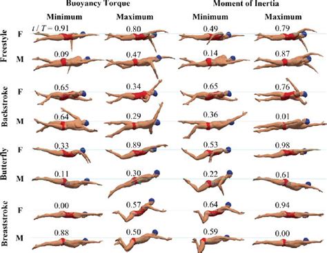 Figure 8 — Swimmer Body Poses At Time Instants Of Minimum And Maximum