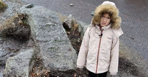 놀다 주웠는데 ‘유물노르웨이 8세 소녀 3700년 전 단검 발견