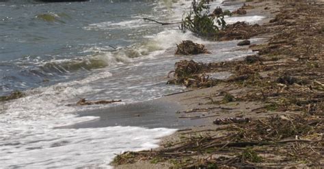 Россия нанесла новый удар по портовой инфраструктуре Одесской области