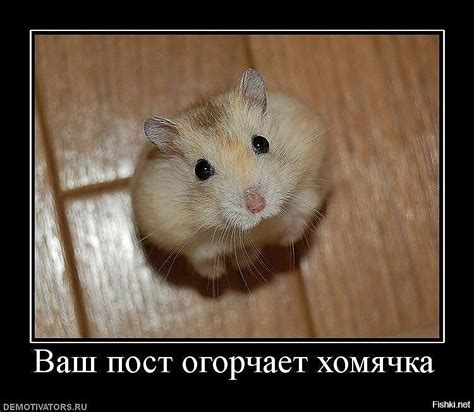 Форум акции Сбербанк Sber Sberp