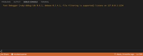 Debugger Doesn T Start With Rails Server Issue Rubyide Vscode Ruby GitHub