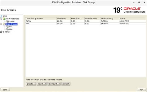 Oracle Grid Infrastructure Ile Single Instance Standalone 19c