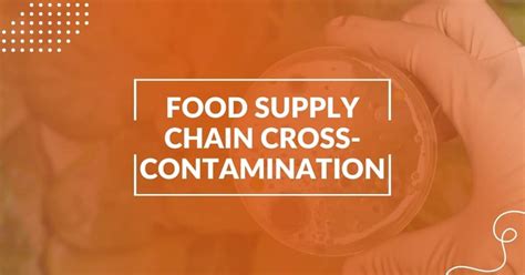 All You Need To Know About Cross Contamination