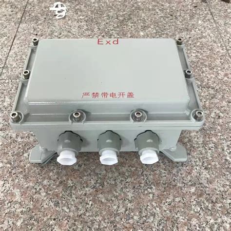 BJX 300 300防爆接线端子箱 乐清市徽妍防爆电气有限公司