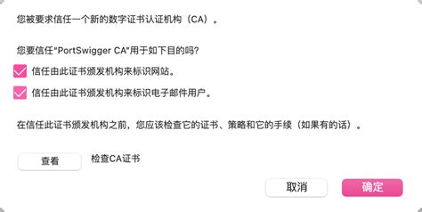 burpsuite professional 2023 6 2 最新版安装教程 burpsuite最新版 csdn博客