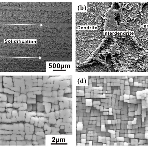 Secondary Electron Sem Micrographs Of Cast Microstructures In Single Download Scientific