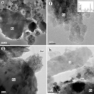 A Above Field Photograph Of The Laterite Profile Showing The Layer Download Scientific