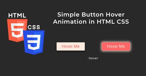 Simple Button Hover Animation Css Geekboots
