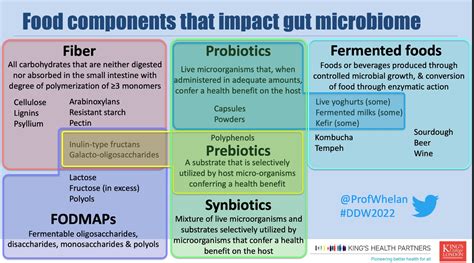 Functional And Anatomical Characterization Of Corticotropin Releasing Factor Receptor Subtypes