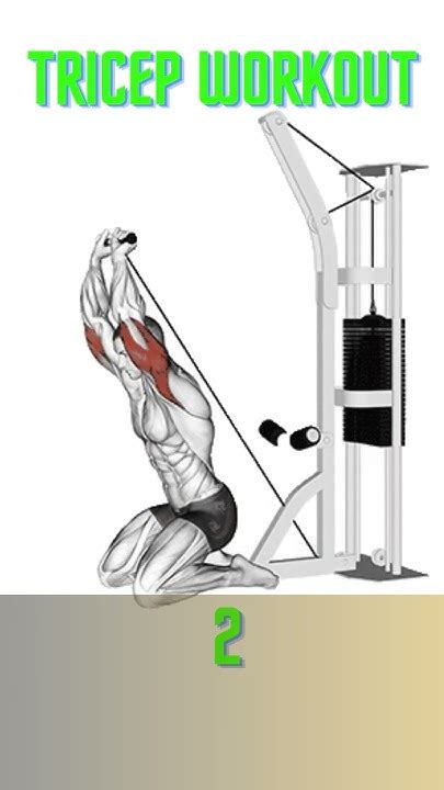 5 Different Types Tricep Workout Youtube