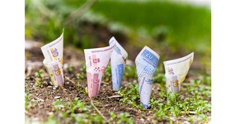 „Агрион“ с есенна промоция 50 лв над пазарната цена за купен декар