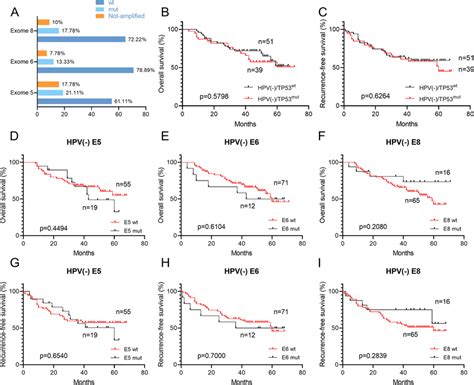 Distribution And Prognostic Significance Of Tp53 Mutation In Hpv Download Scientific Diagram