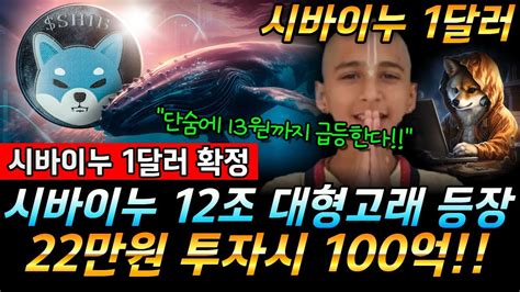 시바이누 코인 시바이누 대형고래로 인해 급등임박 단숨에 13원까지 급등한다 비트코인 시바이누코인 도지코인 이더리움 리플 Youtube
