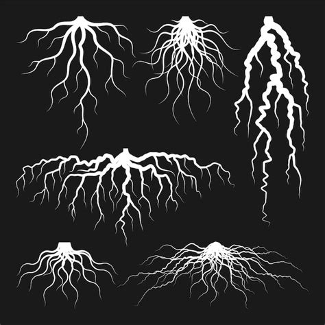 Premium Vector Various Realistic Tree Or Shrub Roots Parts Of Plant Root System With Tree