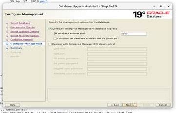 Ora Upgrade 12c To 19c